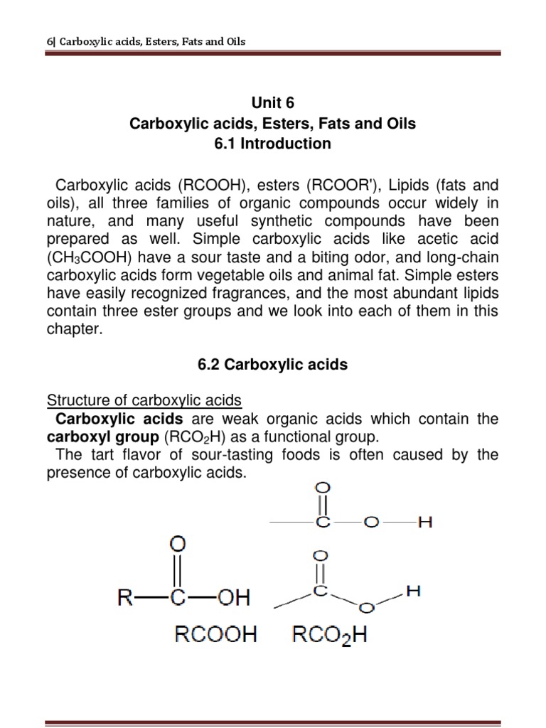 Layout | PDF | Ester | Fat