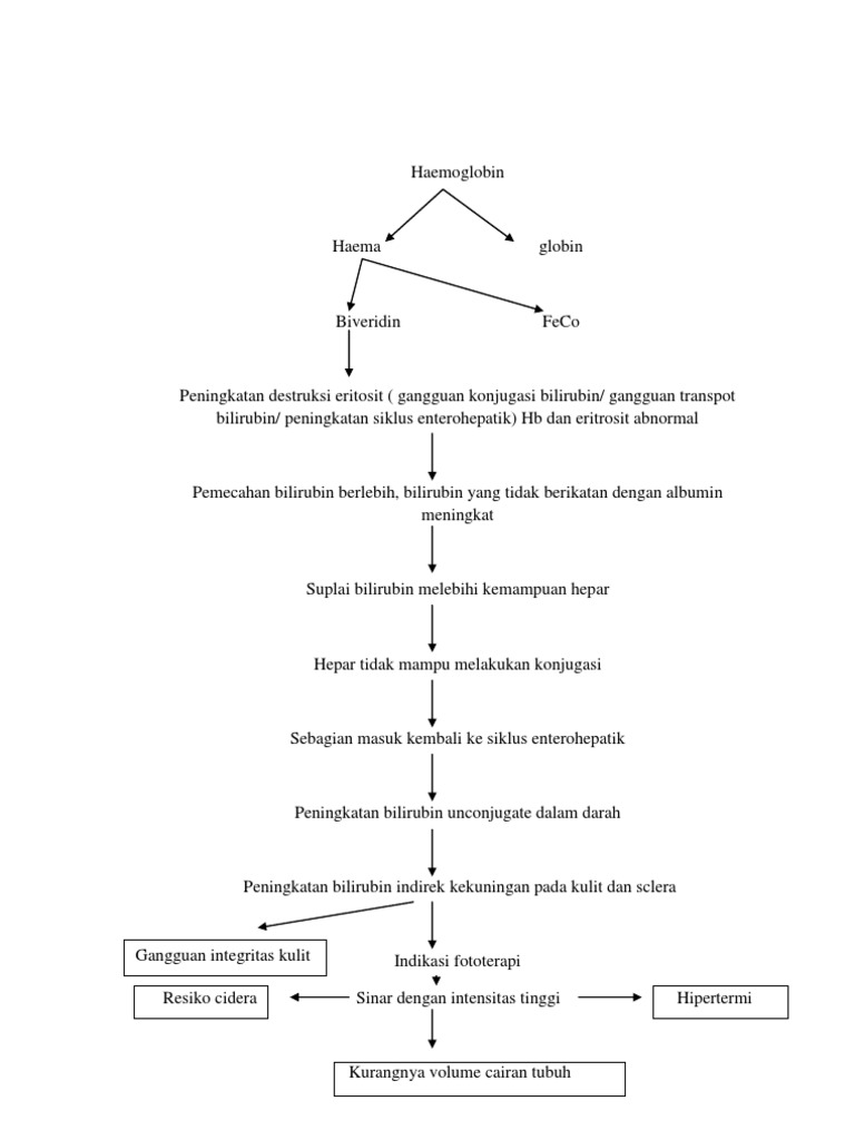 Pathway Ikterus | PDF