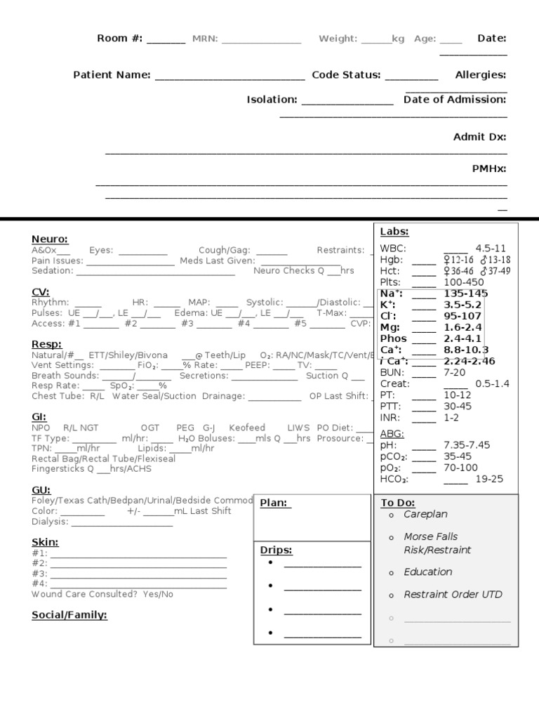 Report Sheet