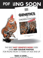 Pigeon Color Genetics and Breeding Chart | PDF | Dominance (Genetics ...