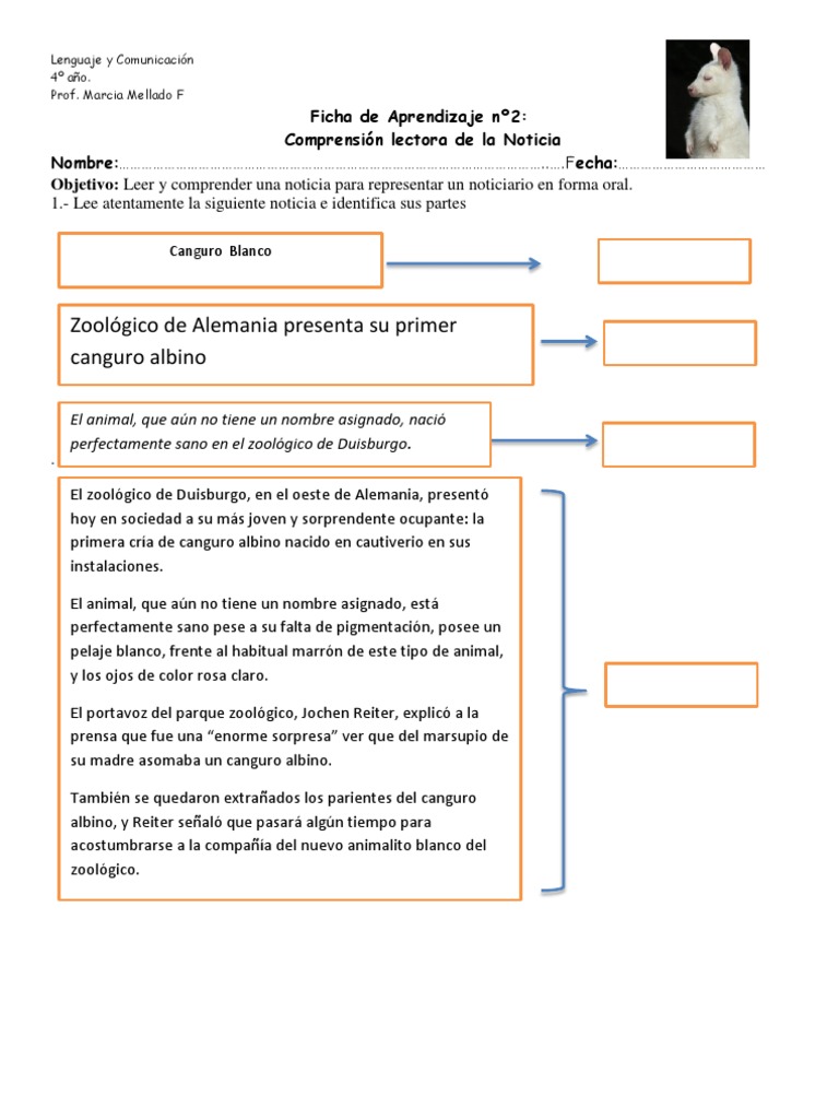 Noticia Canguro Albino4º | PDF