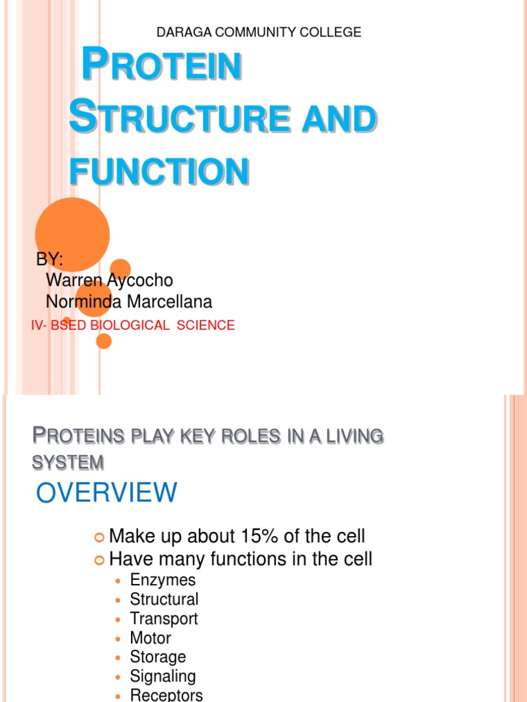 Fundamentals of Protein Structure | PDF