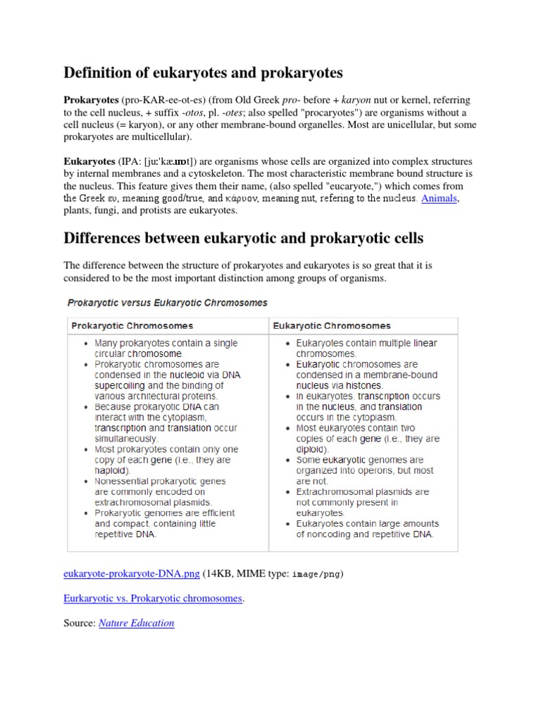 Definition of Eukaryotes and Prokaryotes | PDF | Social Science