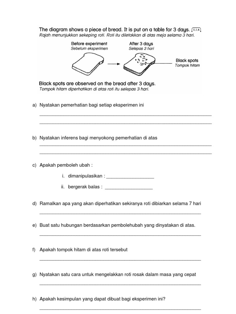 Soalan Sains Bahagian B - Tahun 5 - Kulat Roti | PDF