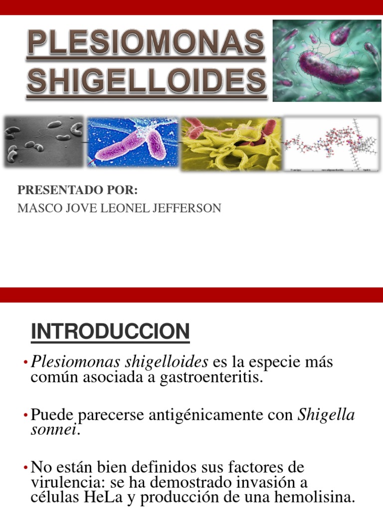 Plesiomonas Shigelloides Expo | PDF | Las bacterias | Patologia clinica