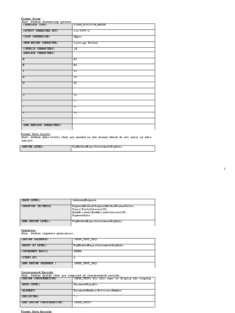 Format Template for Generating an Outbound Payment File with Defined ...