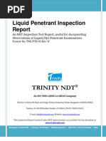 DPT Test Report Format | PDF