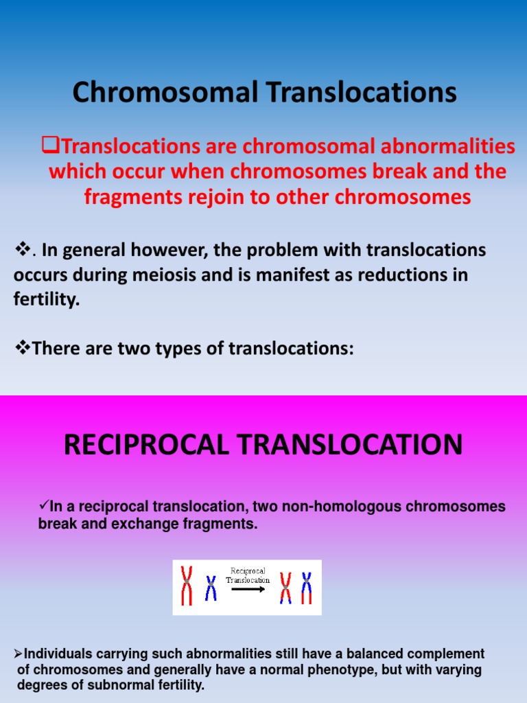 Reciprocal Translocation Meiosis