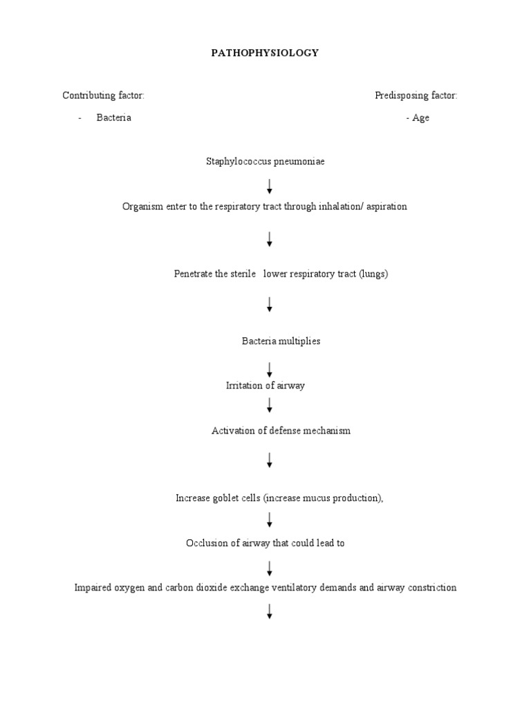 pathophysiology of pneumonia