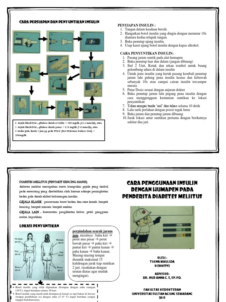 Leaflet Insulin | PDF