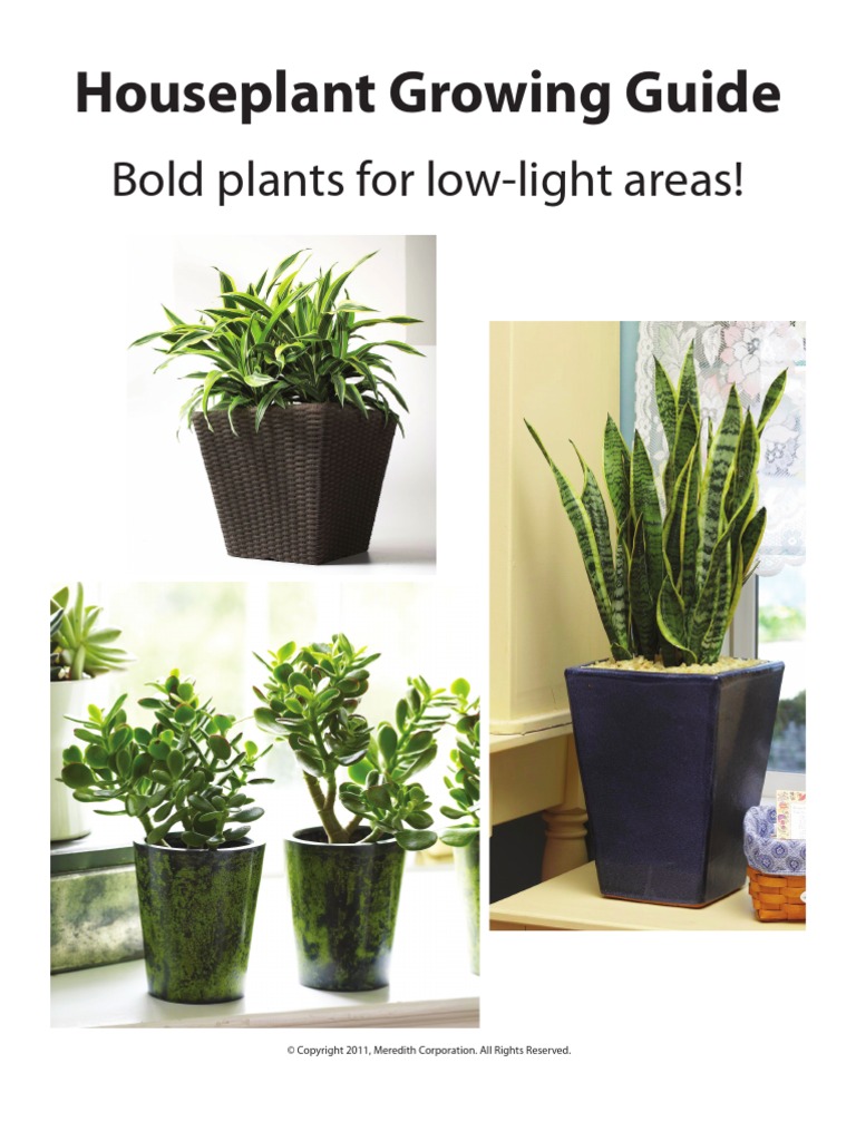 Houseplant Growing Guide, Book 1 | PDF | Houseplant | Environmental Design