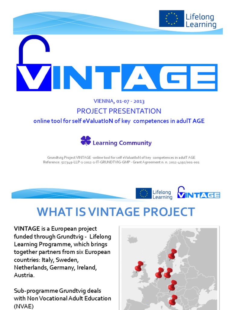 VINTAGE Project Presentation | PDF | Educational Assessment ...