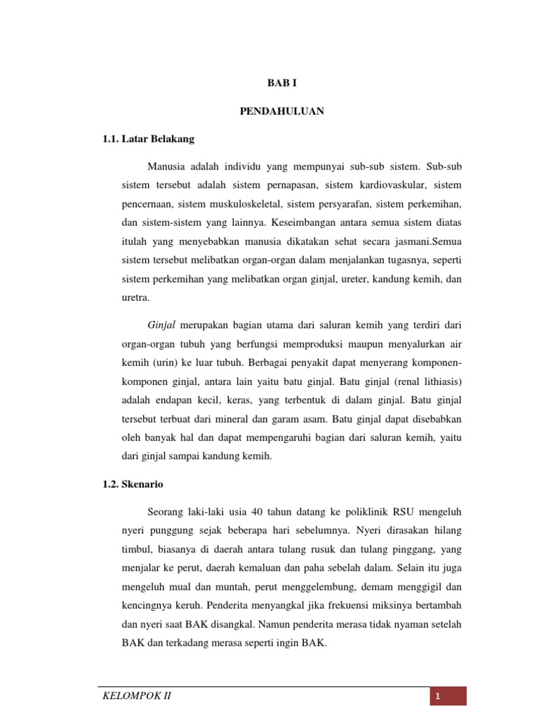 Kencing Batu | PDF