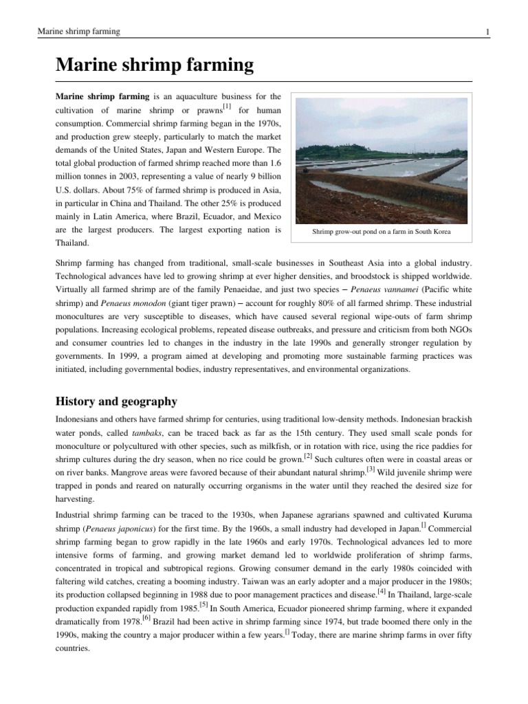 Marine Shrimp Farming | PDF | Aquaculture | Shrimp