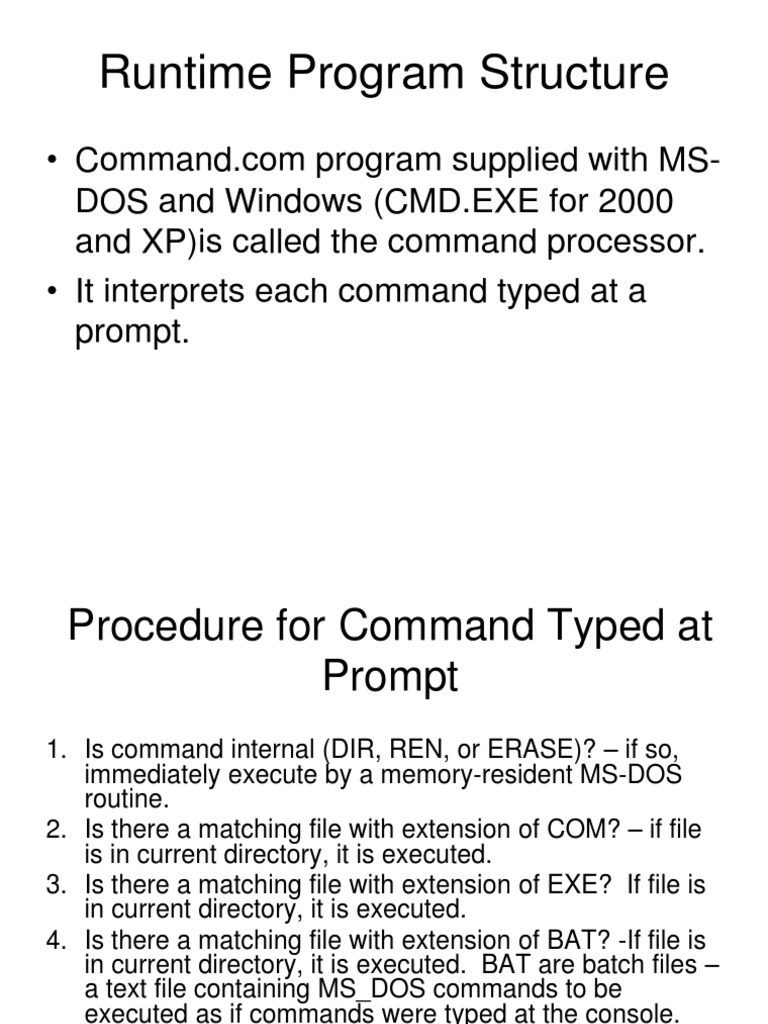 Runtime Program Structure | PDF | Operating System Technology | Computer Program