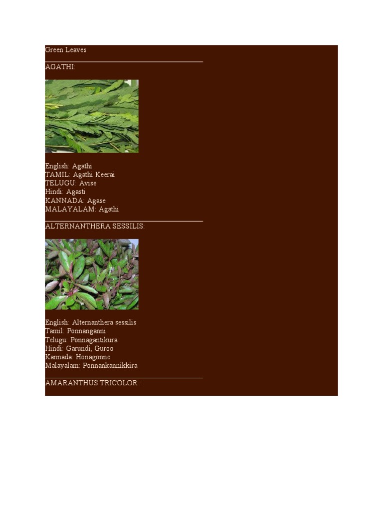 Green Leaves | PDF | Horticulture And Gardening | Botany