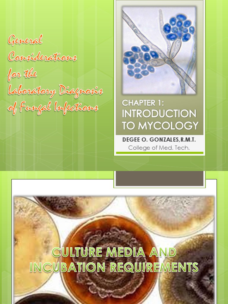 Laboratory Diagnosis of Fungal Infections | PDF | Growth Medium | Staining