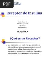 Cápsula de Glisson | PDF | Tejido adiposo | Riñón