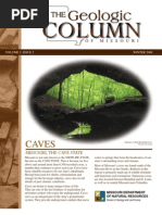 Biocidin Usage Chart | PDF | Dose (Biochemistry) | Chemistry