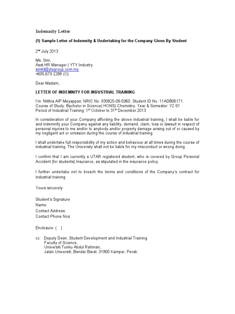 Appendix 1 IT Indemnity Letter | PDF | Business