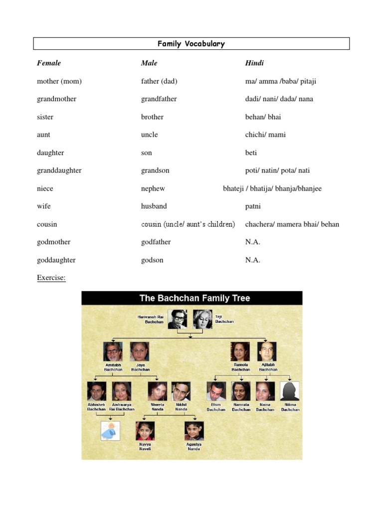Family Tree Vocabulary Exercises | PDF