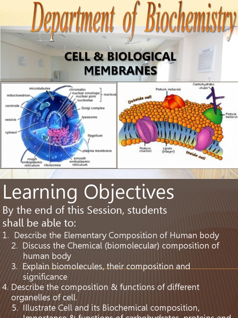 Cell and Cell Mebrane | Cell Membrane | Cell (Biology) | Free 30-day ...