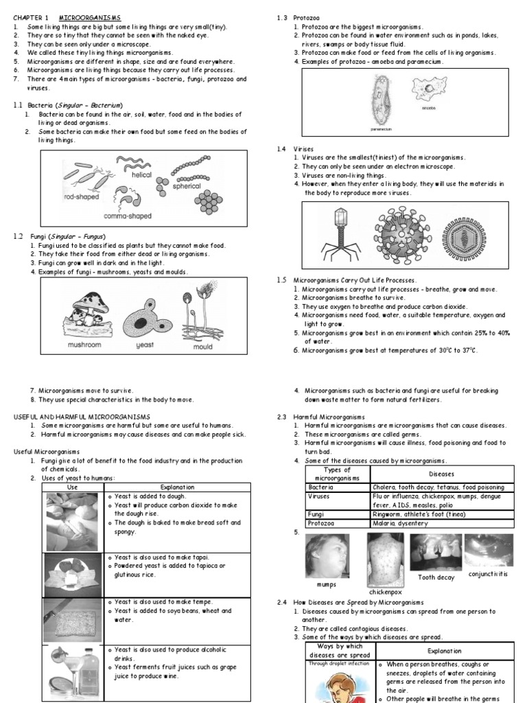 Chapter 1 Science Form 5: Microorganism | PDF | Protozoa | Microorganism