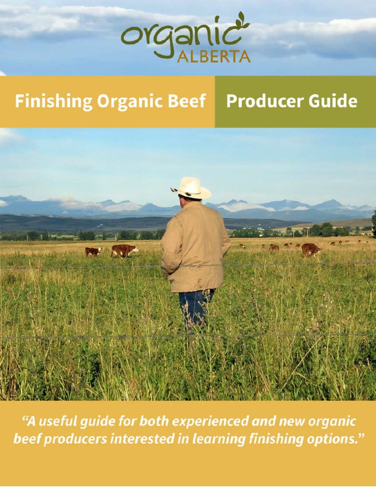 Finishing Organic Beef - Producer Guide | PDF | Organic Foods | Hay
