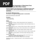 CAP Cancer Protocol Colon NET | PDF | Large Intestine | Pathology