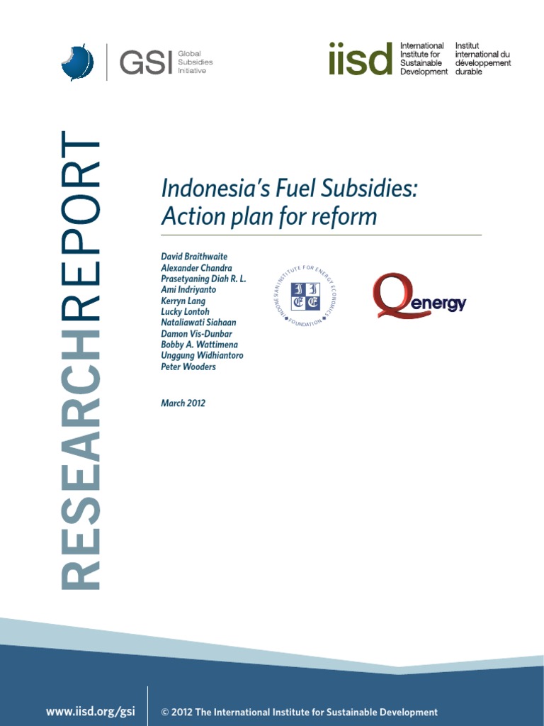 Indonesia's Fuel Subsidies: Action Plan For Reform | PDF | Subsidy ...