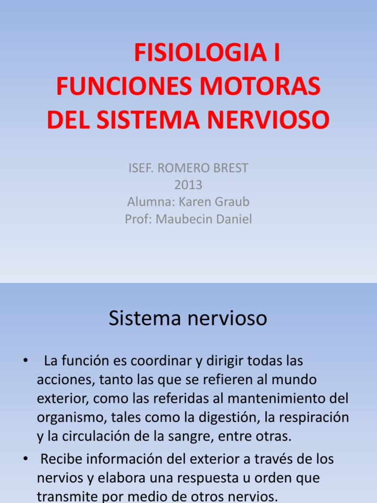Funciones Motoras Del SN | PDF | Sistema nervioso | Sistema nervioso ...
