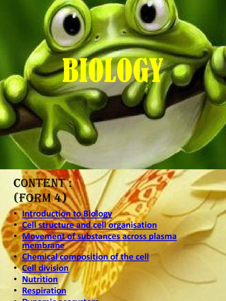 Biology Flow Chart | PDF | Genetics | Cell Membrane