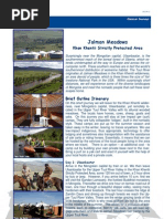 The Fertile Crescent Activity 3 | PDF | Mesopotamia | Sumer