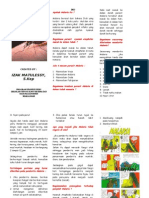 Leaflet Malaria 2 | PDF
