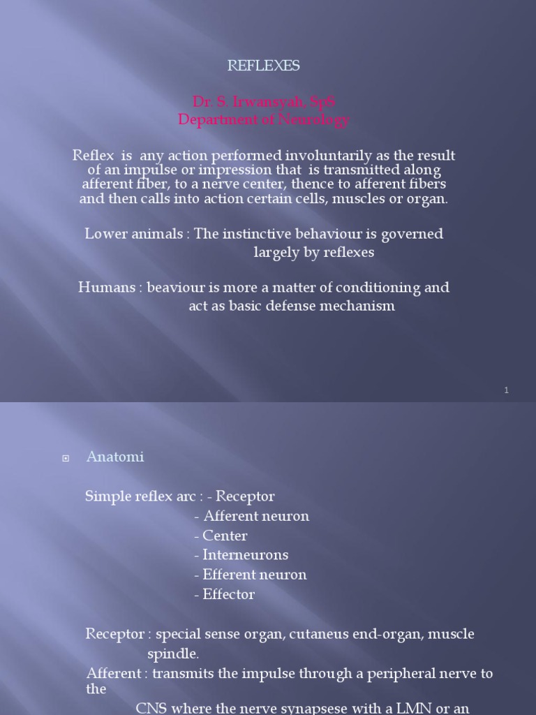 Reflexes: A Comprehensive Guide to the Anatomy, Physiology, Types, and ...