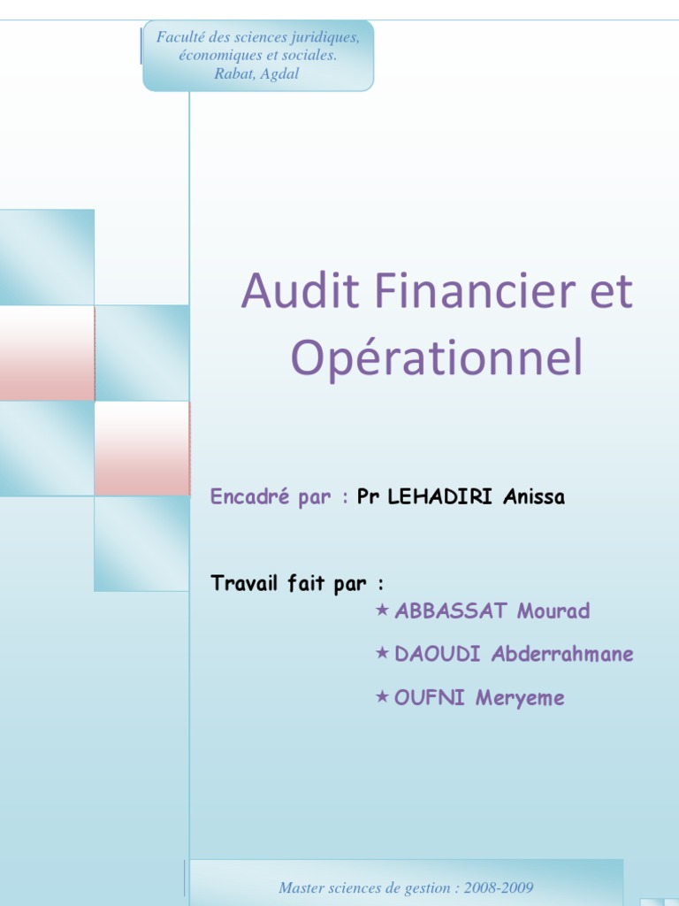 Audit Operationnel | PDF