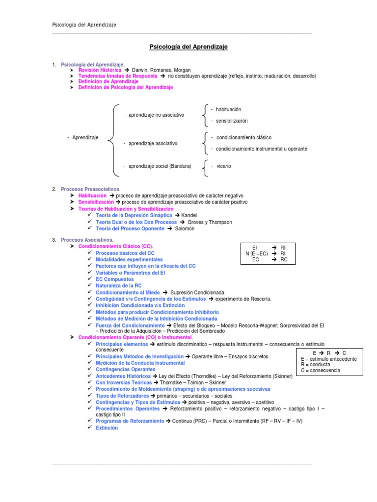 Psicología del Aprendizaje: Teorías y Procesos | PDF | Aprendizaje ...