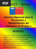 Que Es SENDA | PDF | La dependencia de sustancias | Alcoholismo