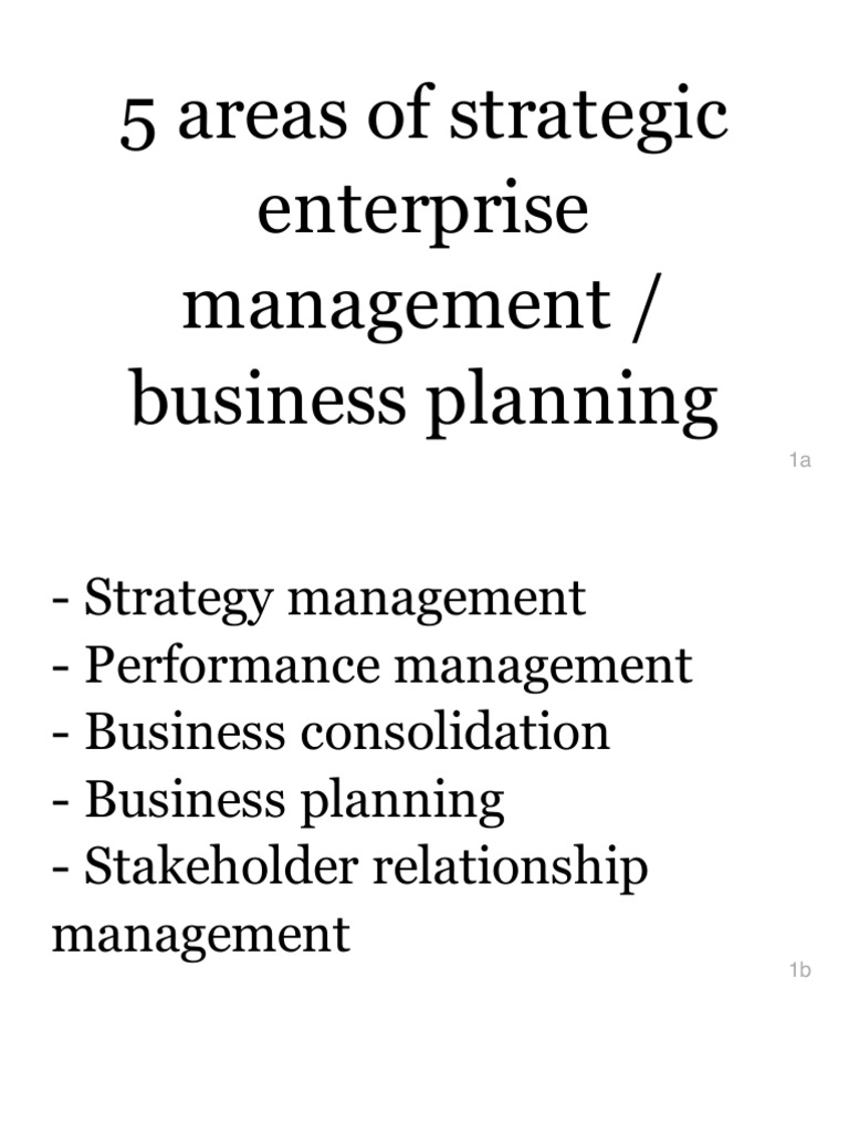 Strategic Enterprise Management Overview | PDF | Business