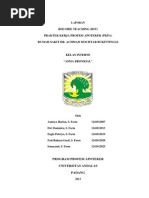Teza Tablet Salut Selaput 50mg Tegoprazan DKI2265100117A1 2022 PIL | PDF