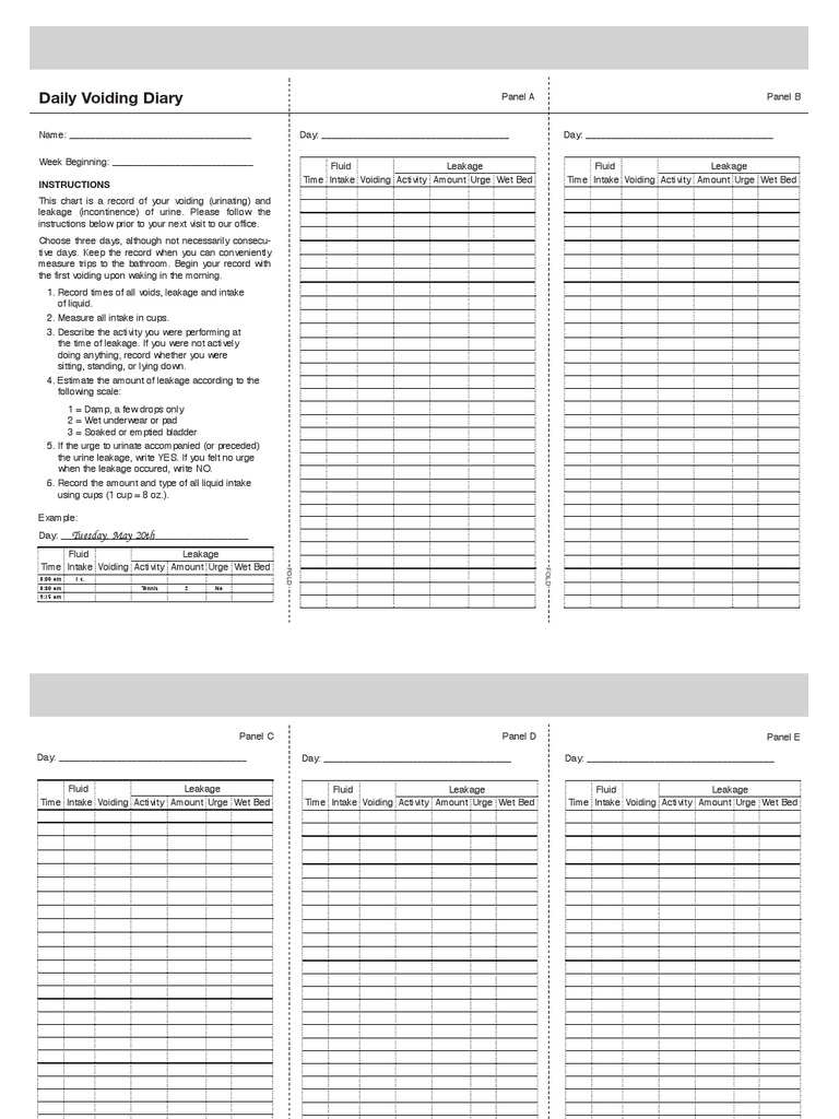 Daily Voiding Diary Tracking Sheet | PDF | Urination | Urinary Incontinence