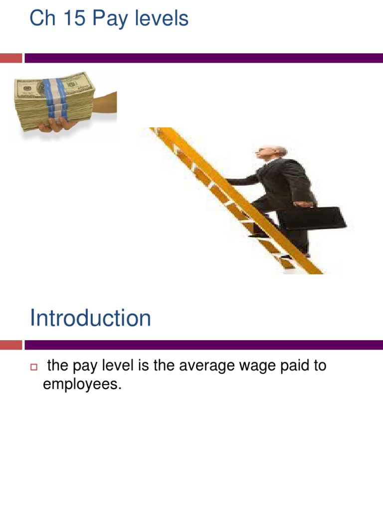 15, Pay Level | PDF | Career & Growth
