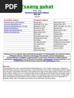 Damong Maria: Herbal Benefits and Uses | PDF | Wellness | Medical