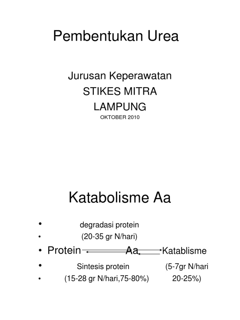 Pembentukan Urea | PDF