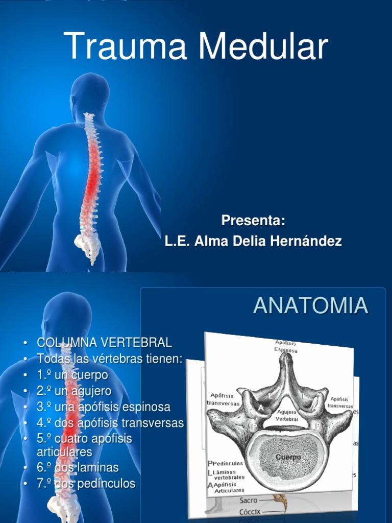 Trauma Medular ALMA | Médula espinal | Lesión