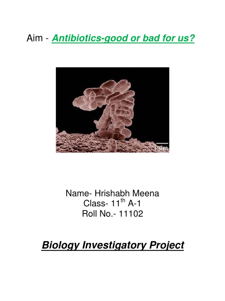 Biology Investigatory Project | PDF | Antibiotics | Antimicrobial ...
