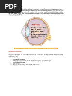 Ocular Fundus Drawing | PDF | Retina | Human Eye