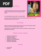 Documento de Texto Encriptado | PDF