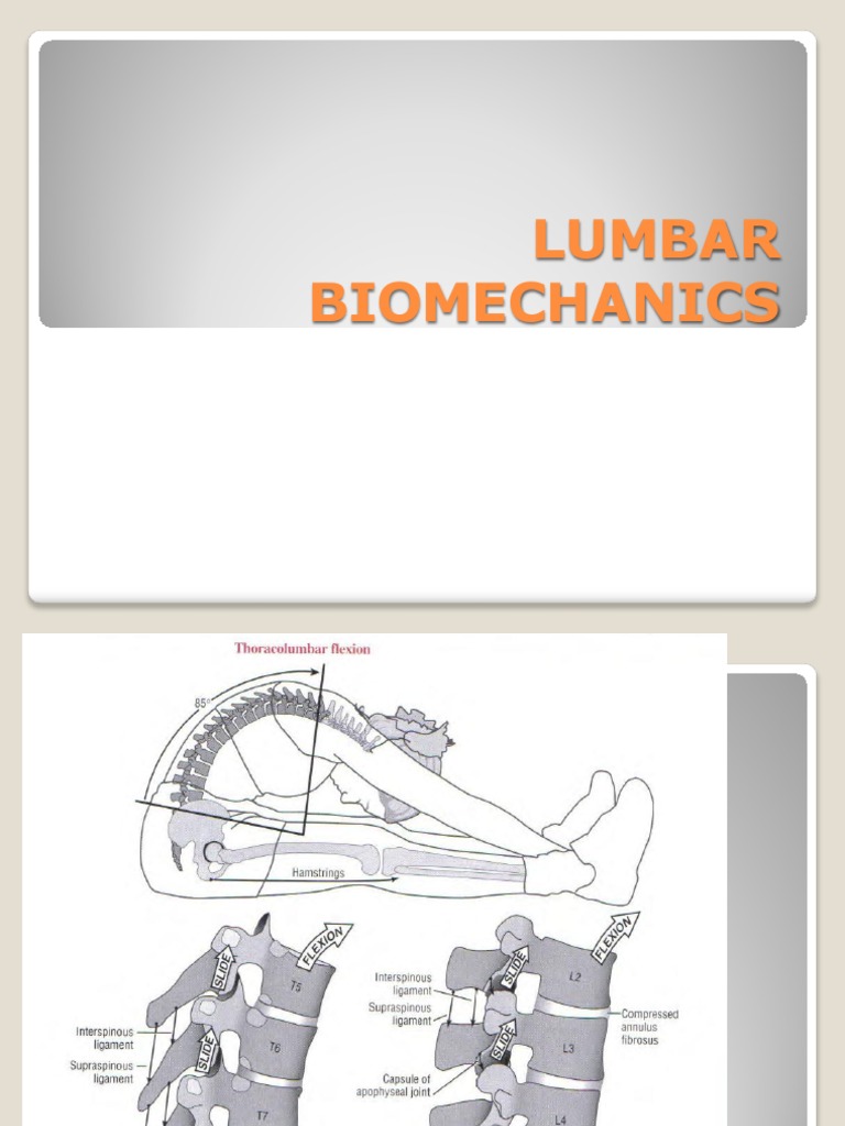 Lumbar Biomechanics | PDF | Pelvis | Hip