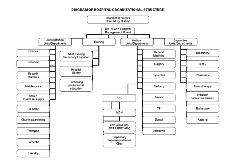 Diagram of Hospital Organizational Structure | PDF